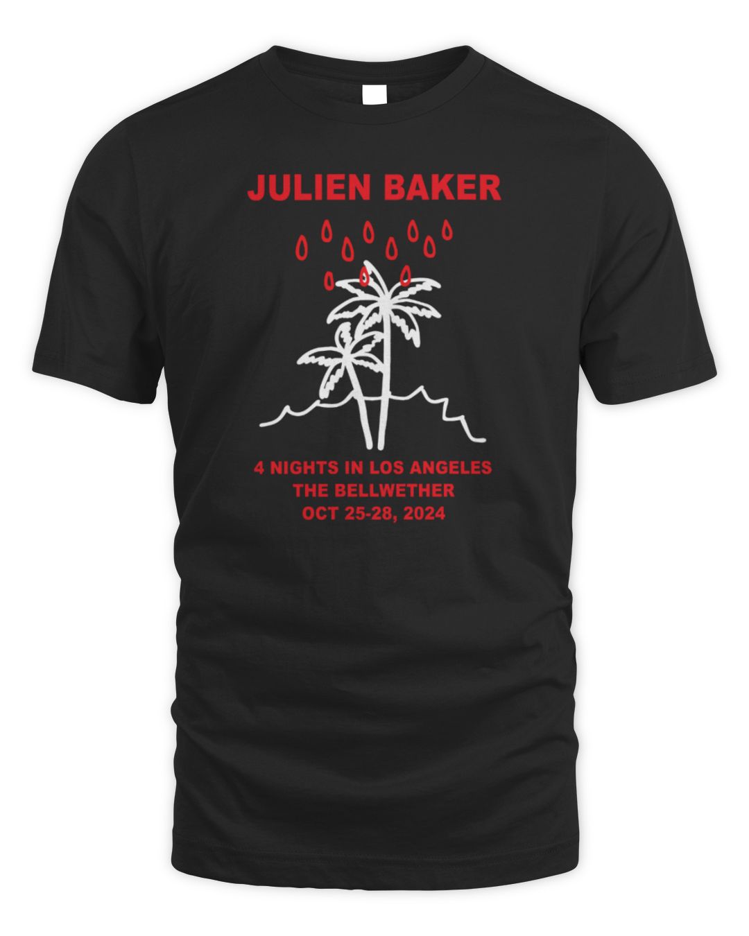 Julien Baker Official Merch Los Angeles 2024 T-Shirt