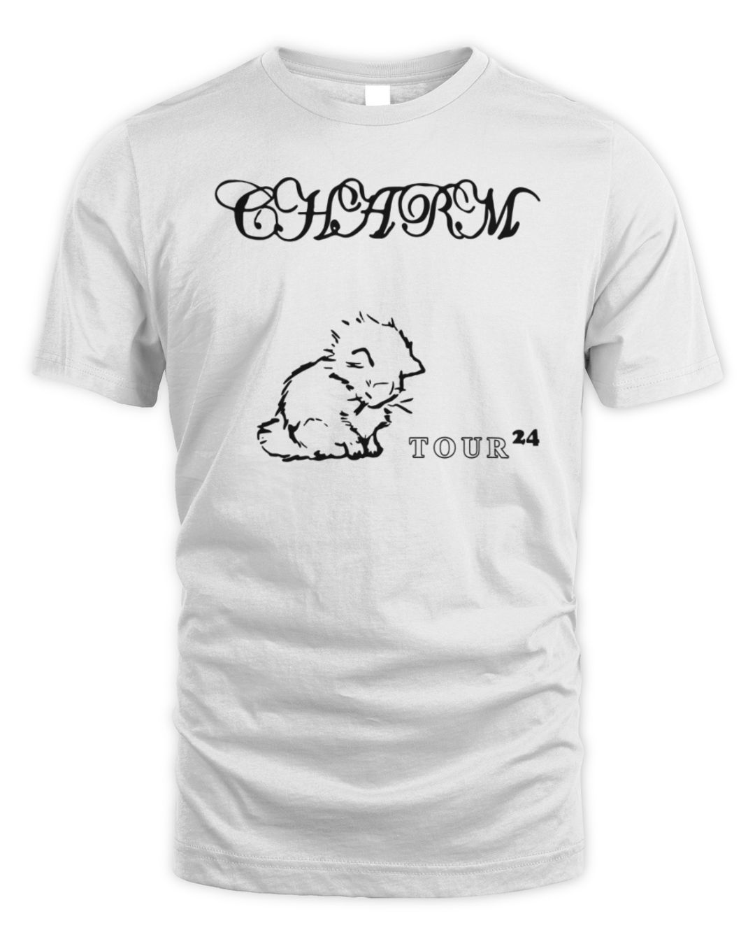 Clairo Tour Merch Charm Cat Tour 2024 Tee